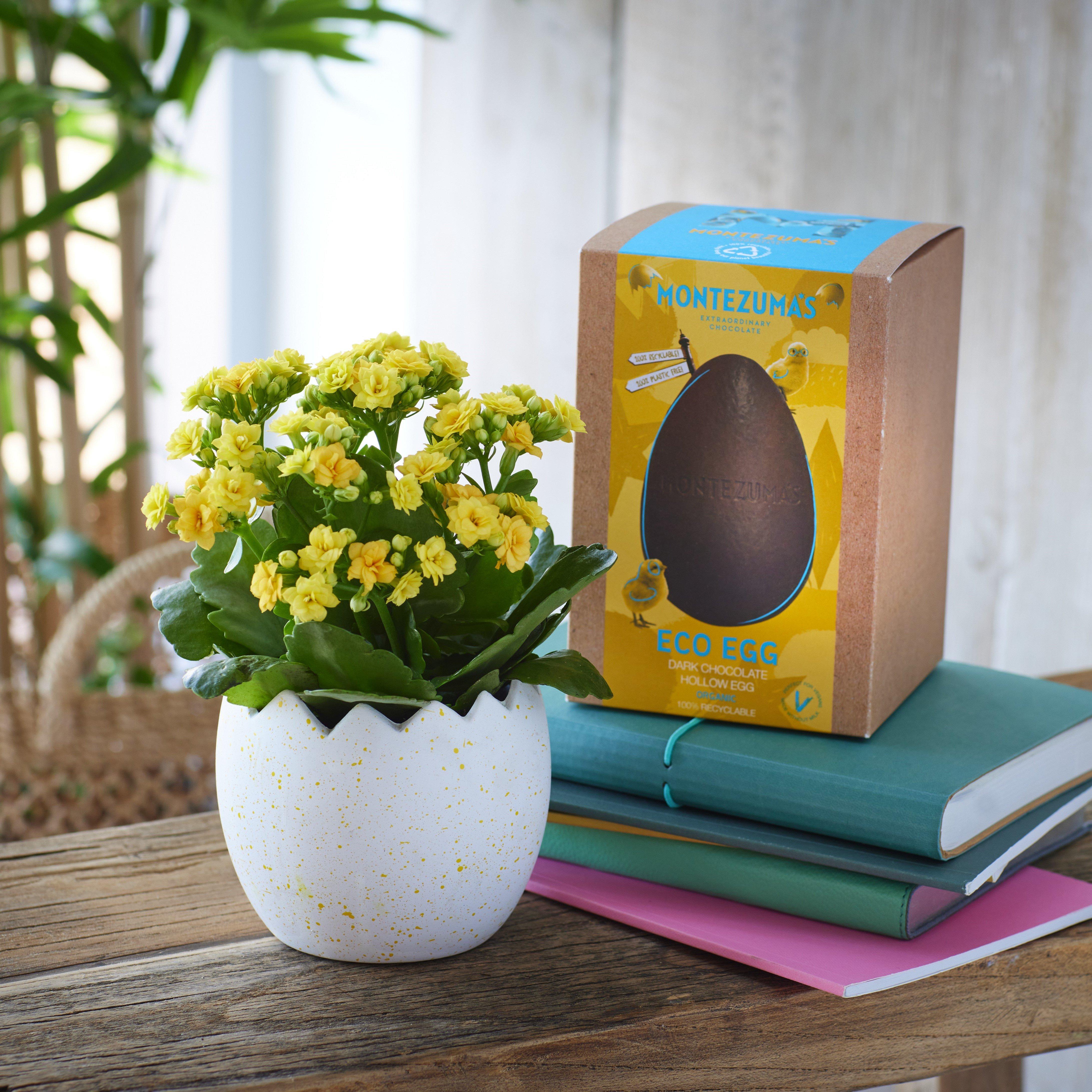 Plants for Easter | Available Next Day delivery | Interflora