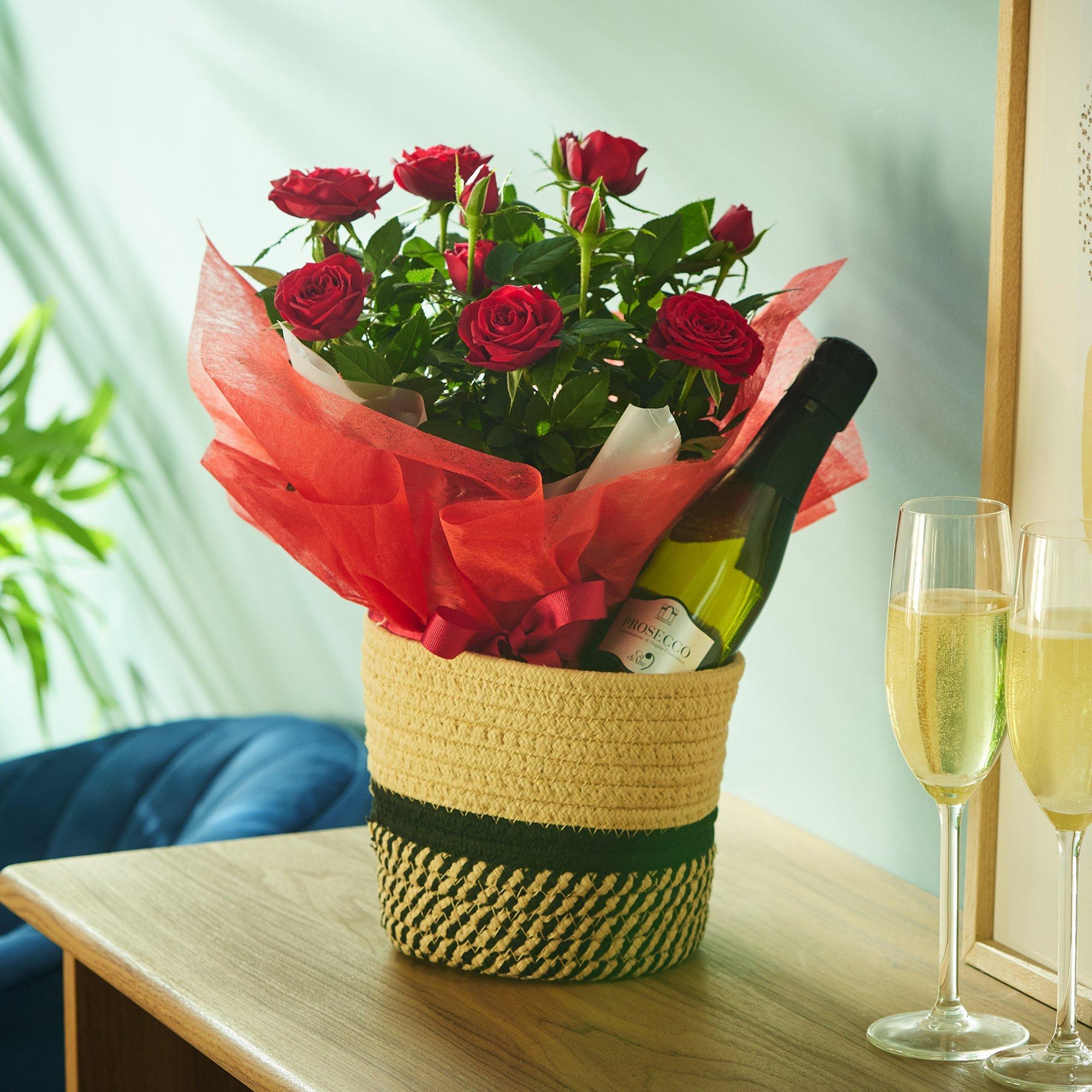 Valentine's Plants - Interflora Valentines Plants | Interflora
